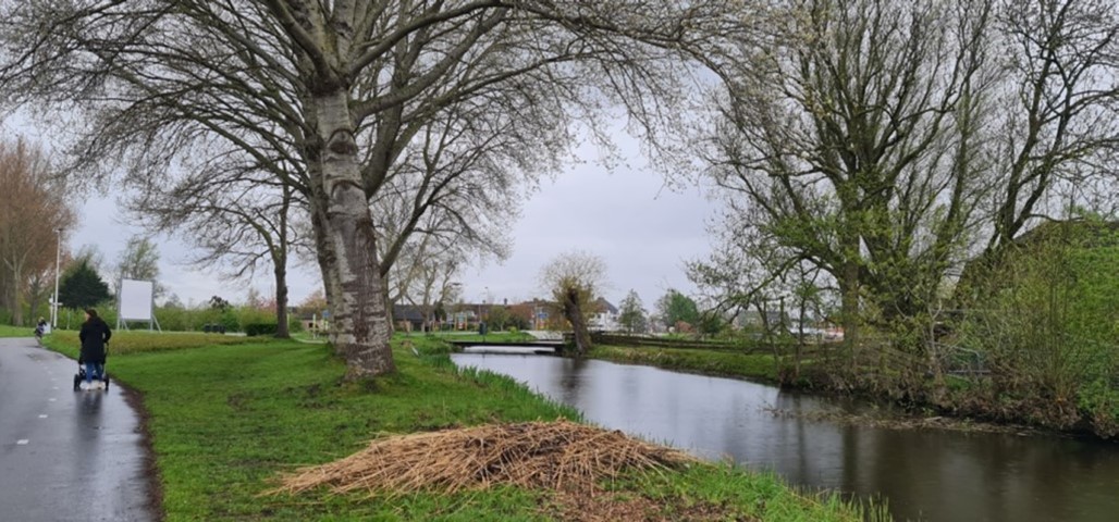 Wat gaan we doen? | Stompwijk